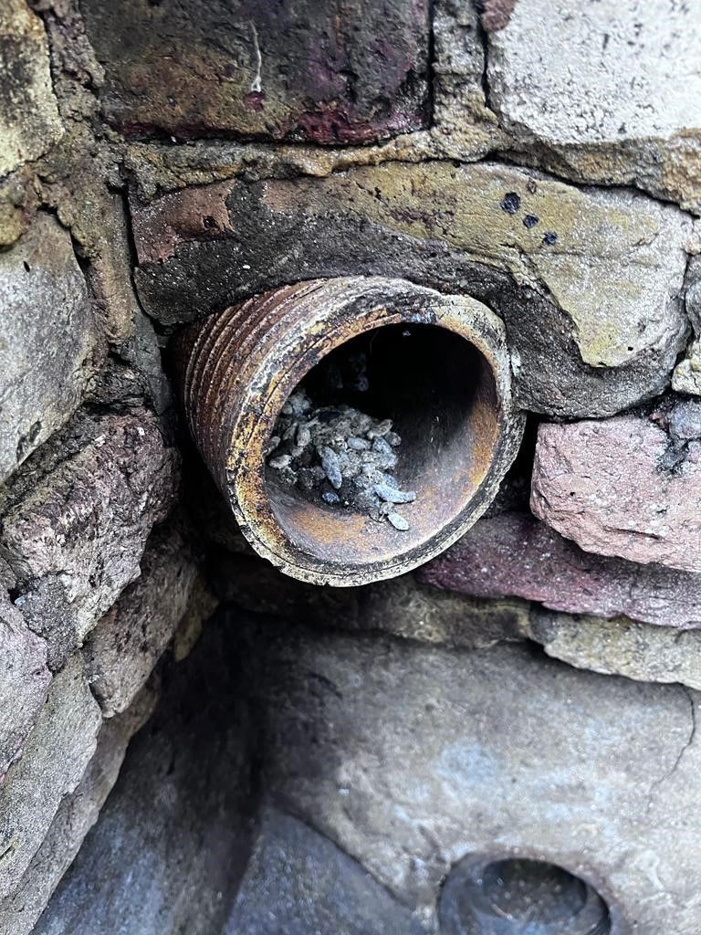 Drains Are A Common Source Of Rat Problems