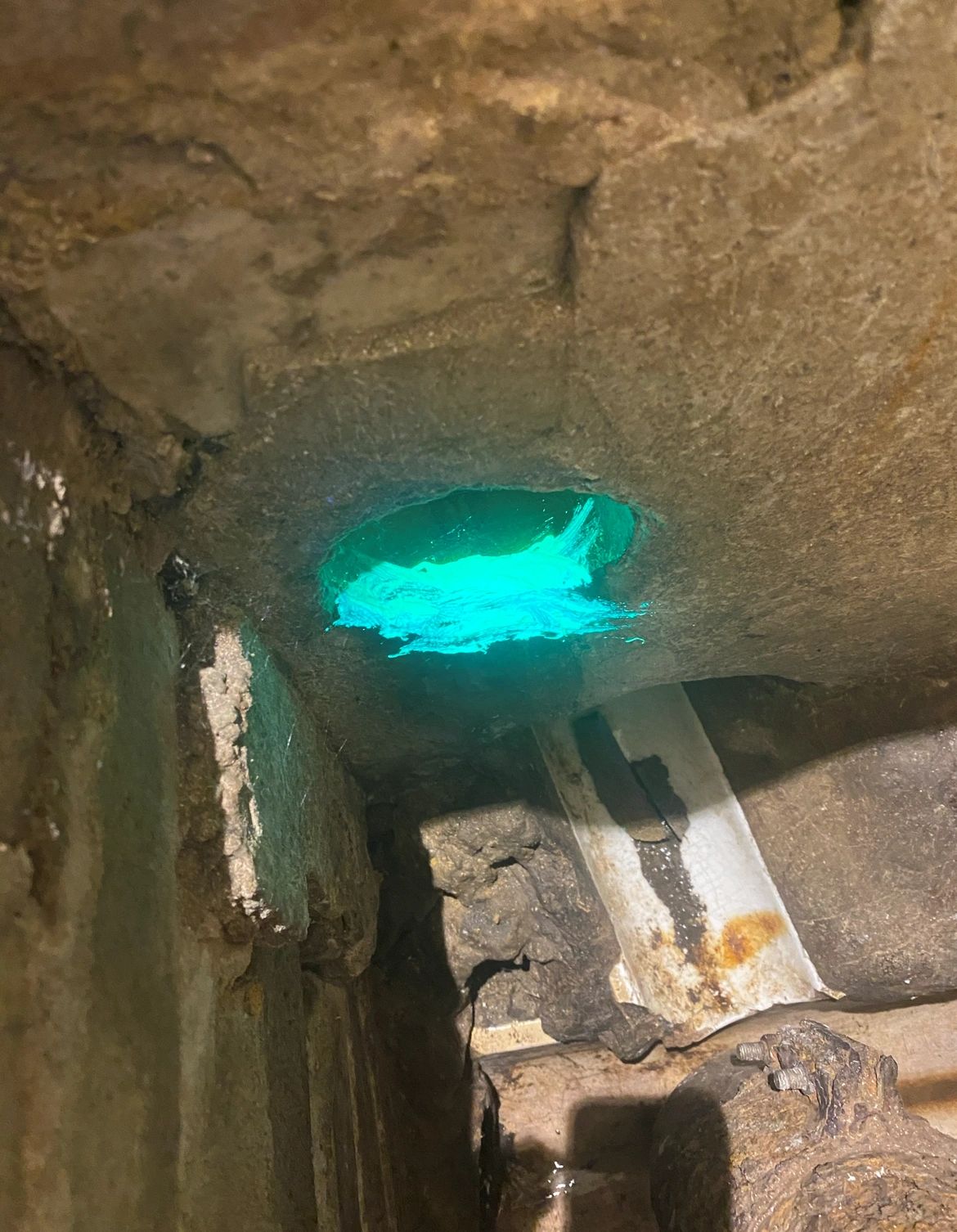 Rodent tracking dust and gel, what is it?