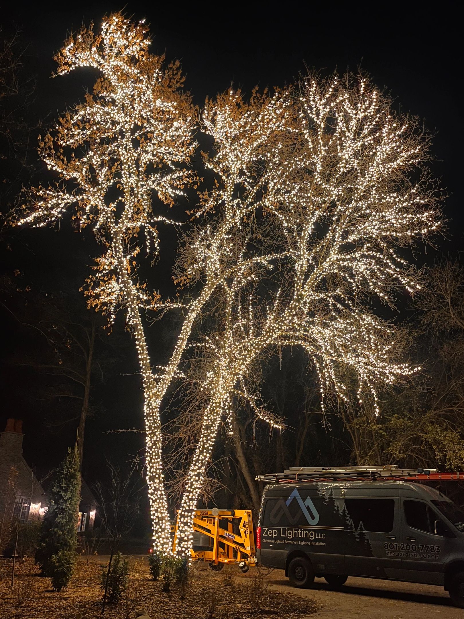 Zep Lighting | Christmas Light Installers