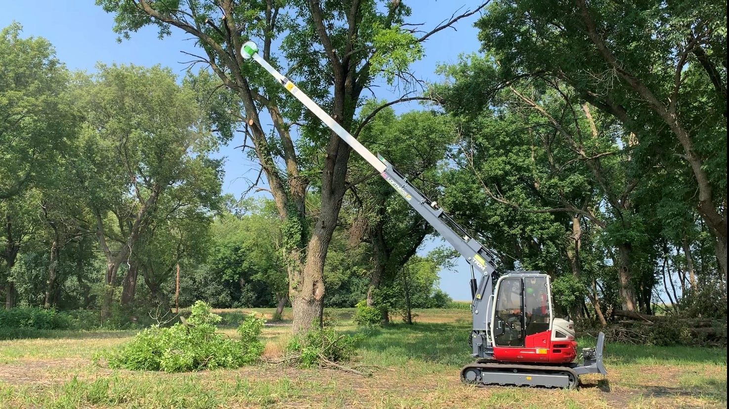 MM Services - Brush Clearing - Plymouth, Wisconsin