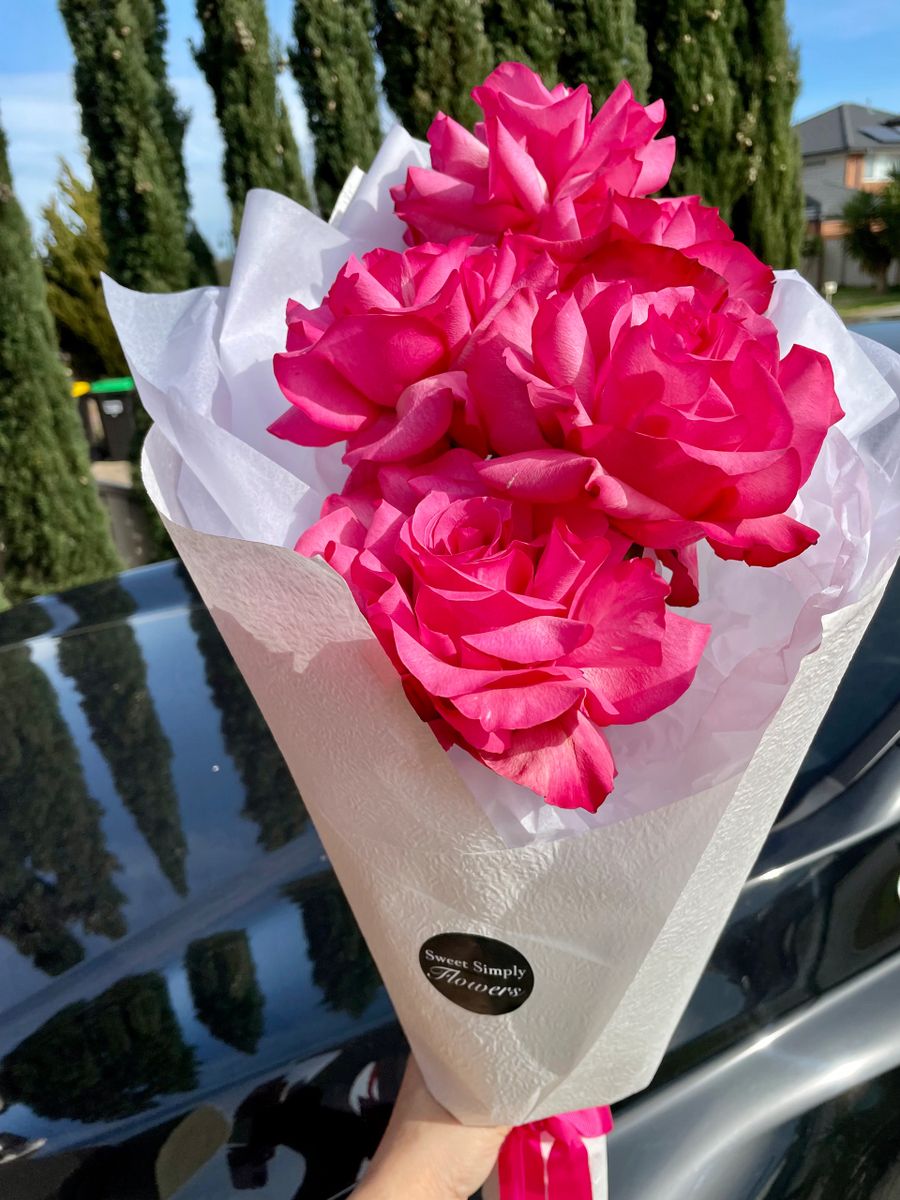 Pink Floyd - Reflex Ecuadorian Rose