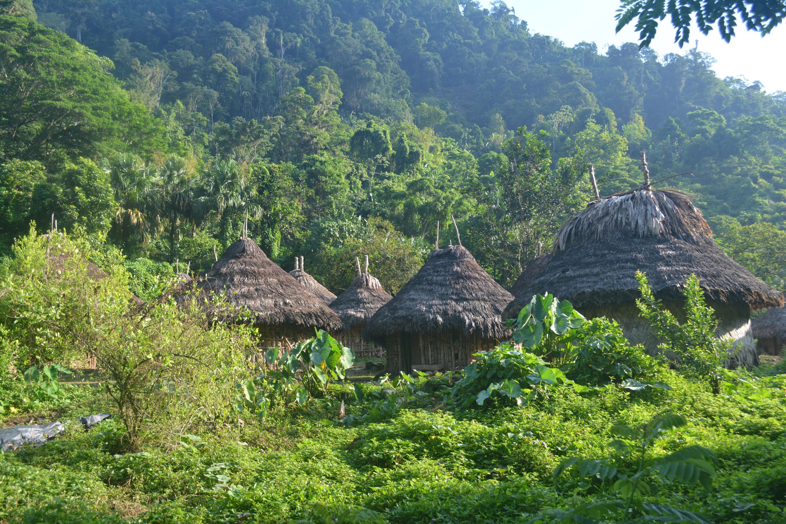 Benefits electricity has for PNG women in remote areas.