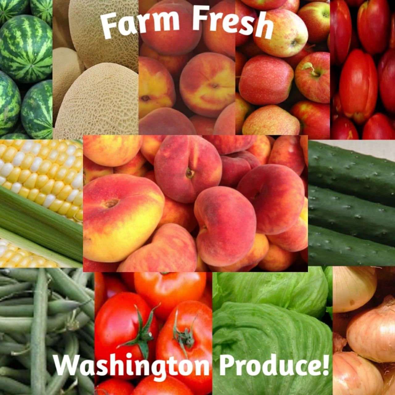 Pickup Dates and Times | Gaines Produce