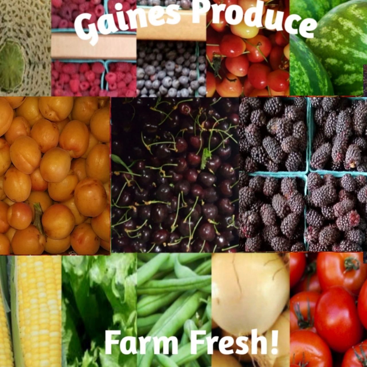Gaines Produce Delivery Schedule at Maya Taber blog