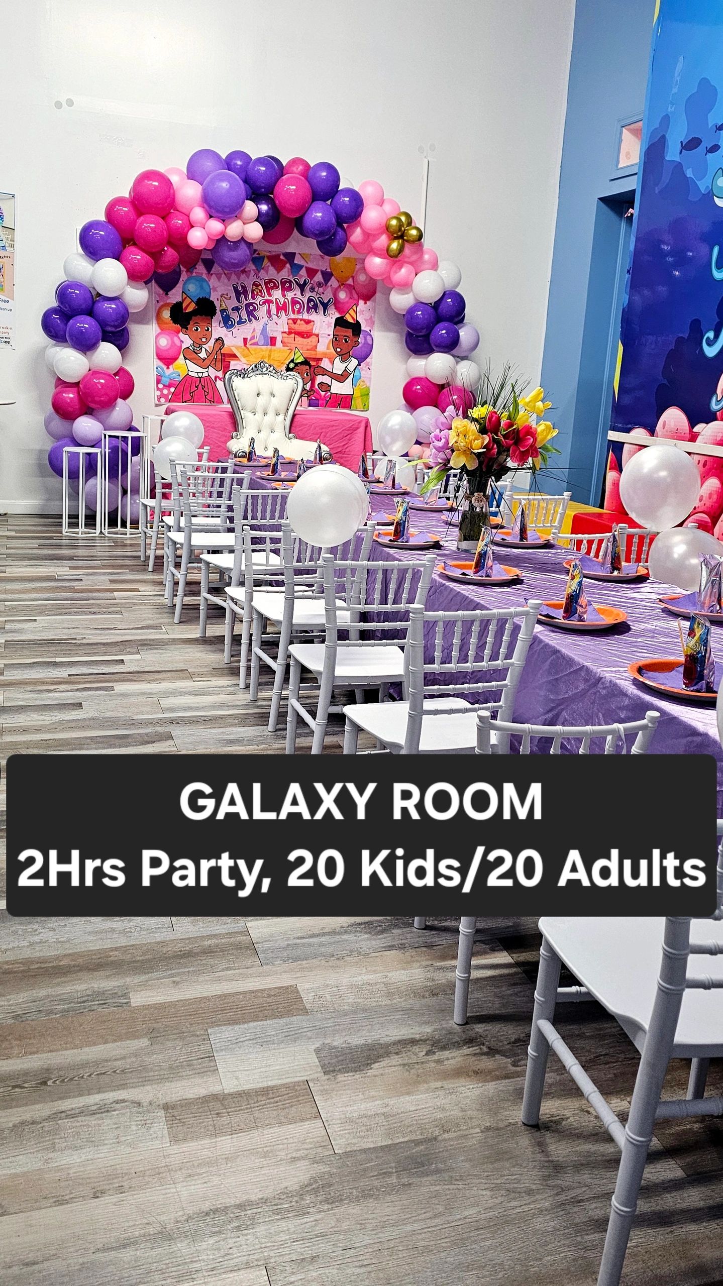 GALAXY ROOM: 20 kids/20 Adults(2Hrs Party, 40mins in Party Room)