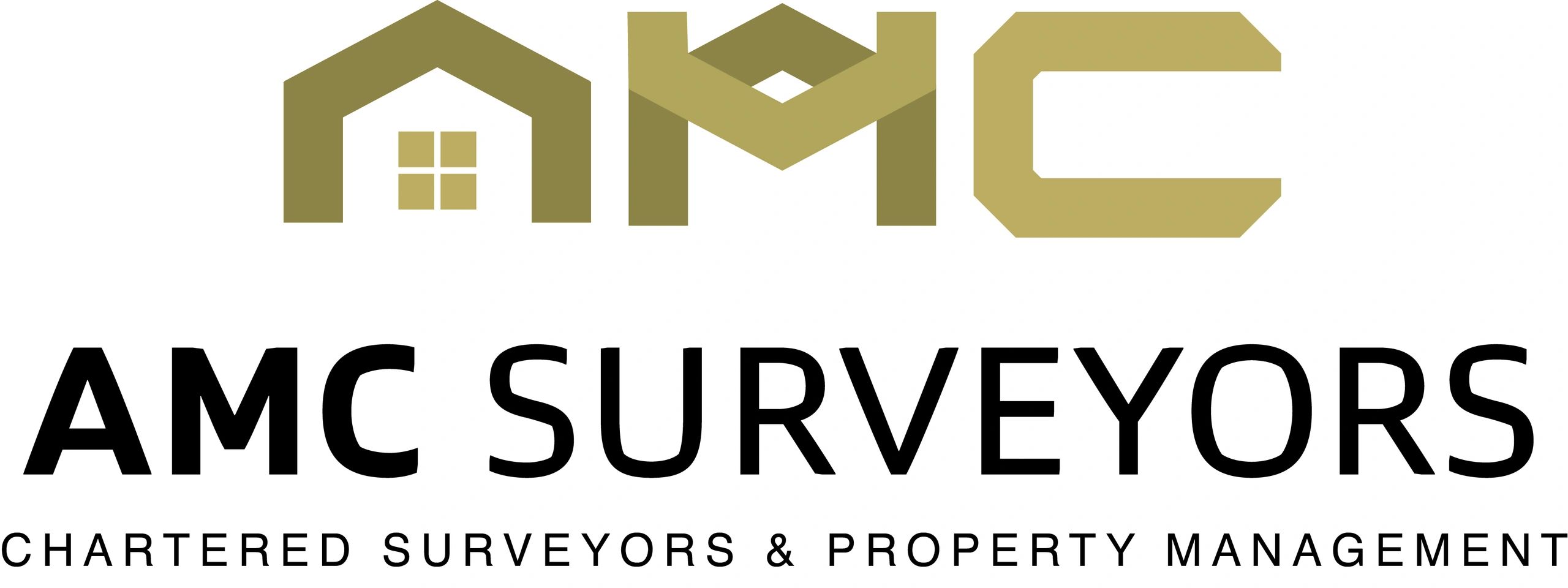 RICS Level 2 Survey