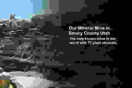 Home [mineraldoctor.com]