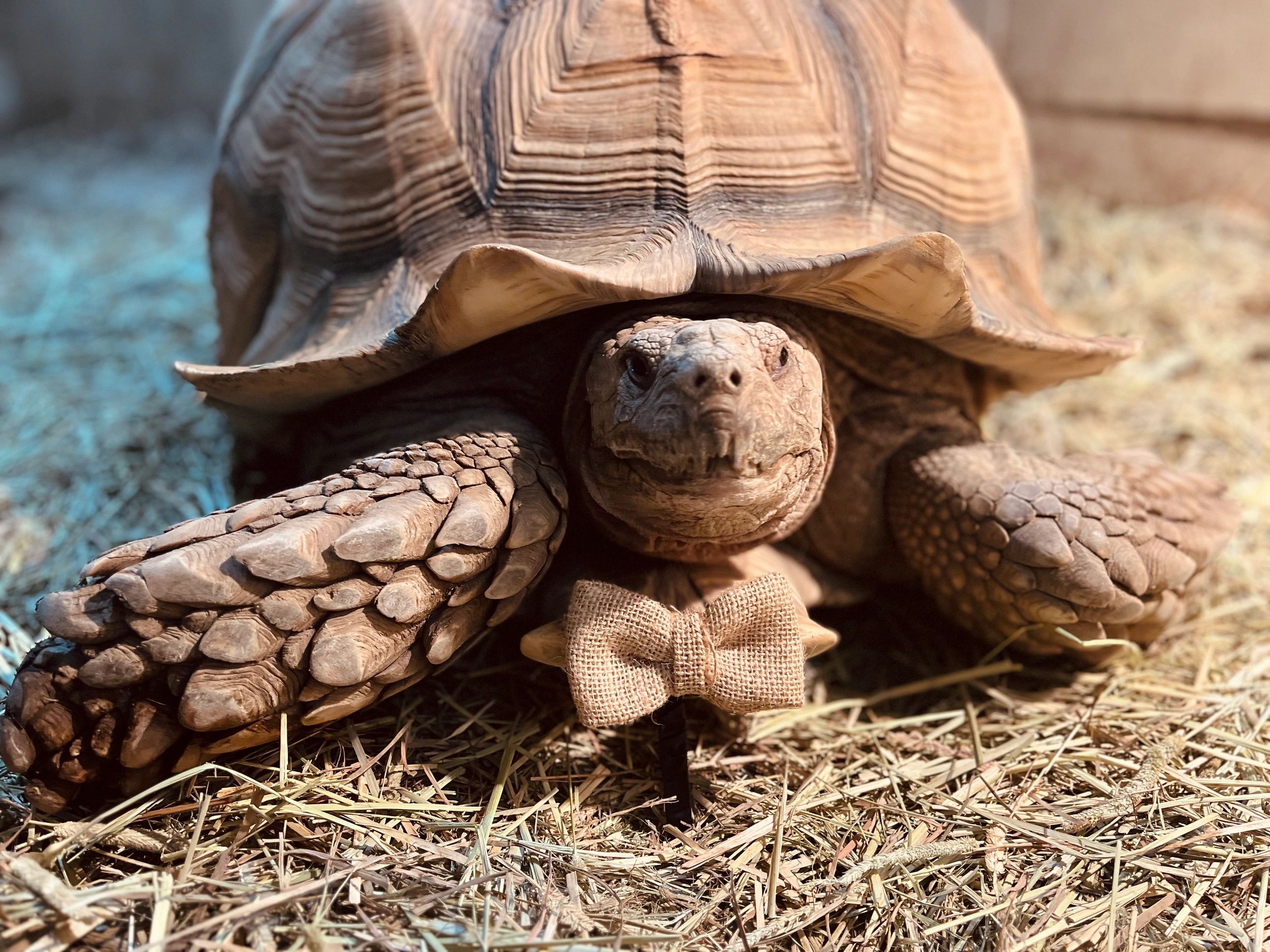 Discover the Fascinating World of Animals at Zoology Zone Science Center