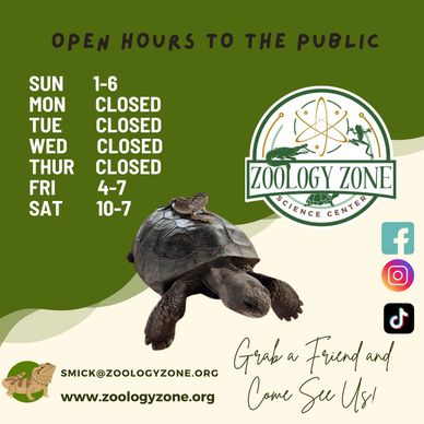 Discover the Fascinating World of Animals at Zoology Zone Science Center