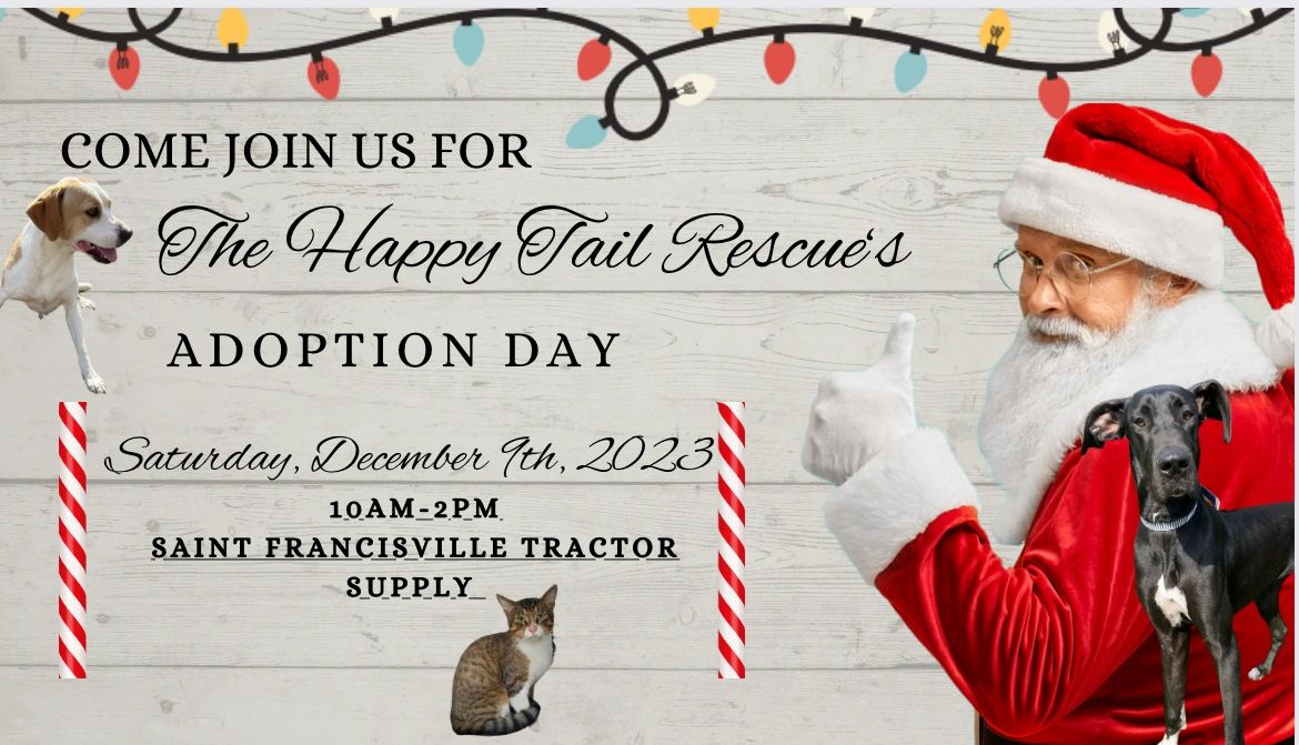 The Happy Tail Rescue - Animal Rescue, Dog Adoption