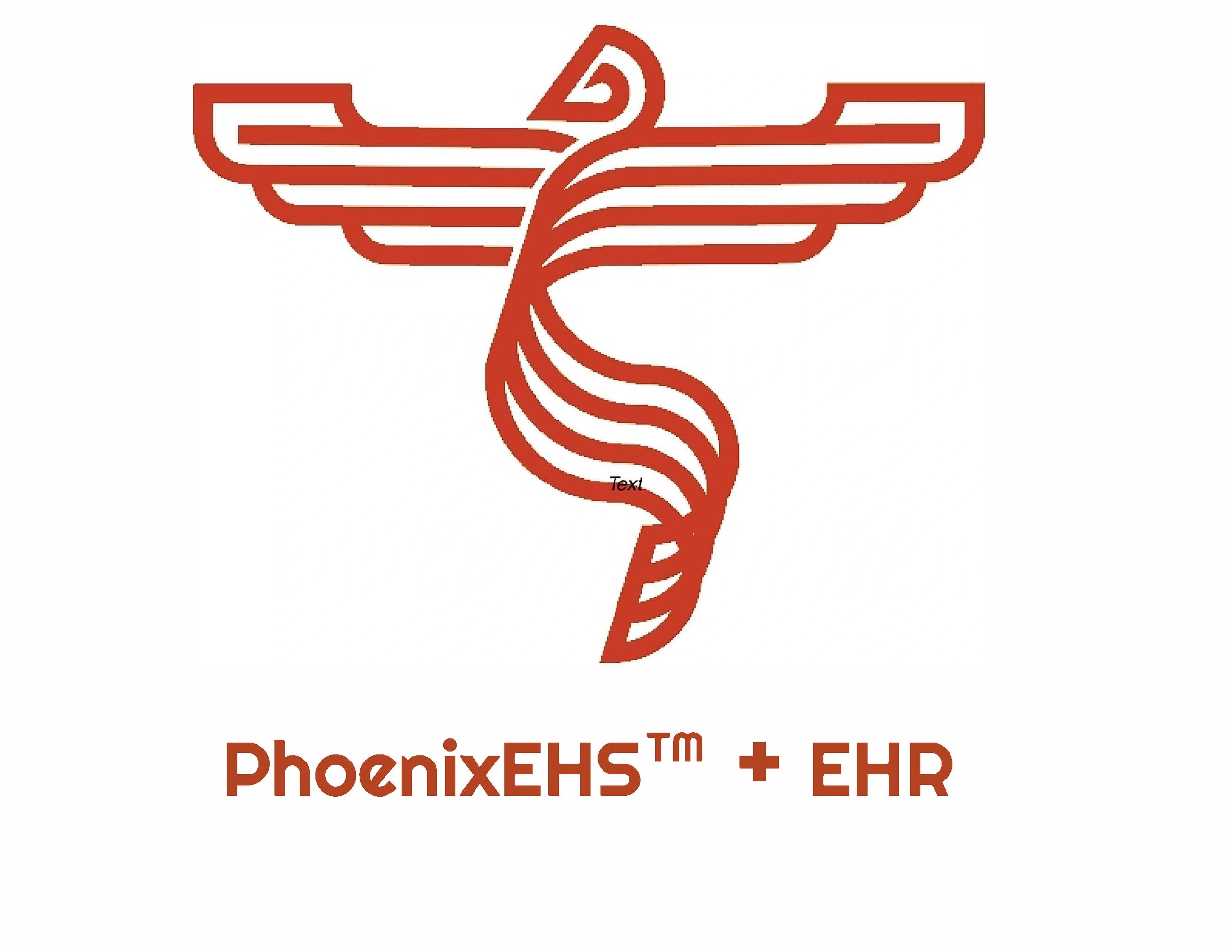 Phoenix EHR - Emr Systems, Emr, Medical Billing