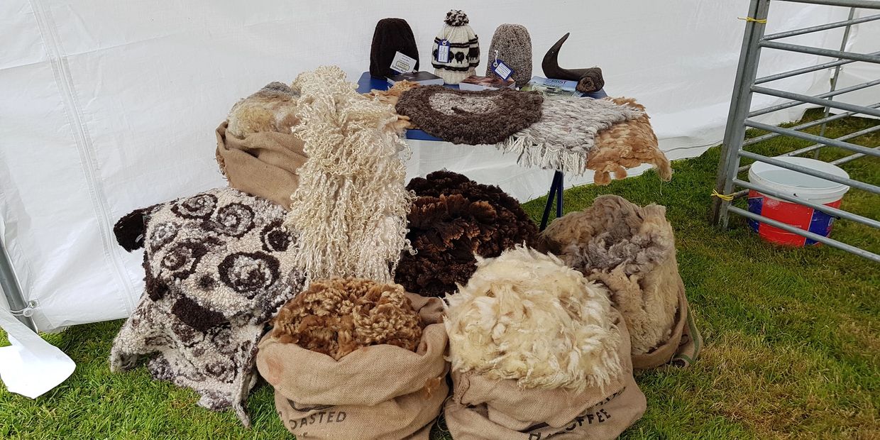 Fleece to Fibre | Wits End Flock