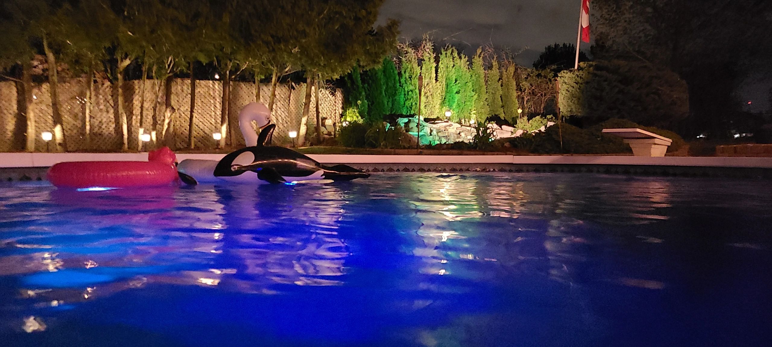 Pool Service in Waterdown - BLUE LAGOON POOLS