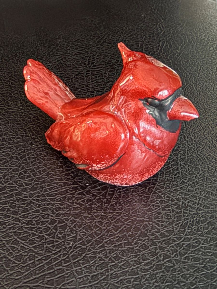 Beautiful Red Cardinal – A Heavenly Sign