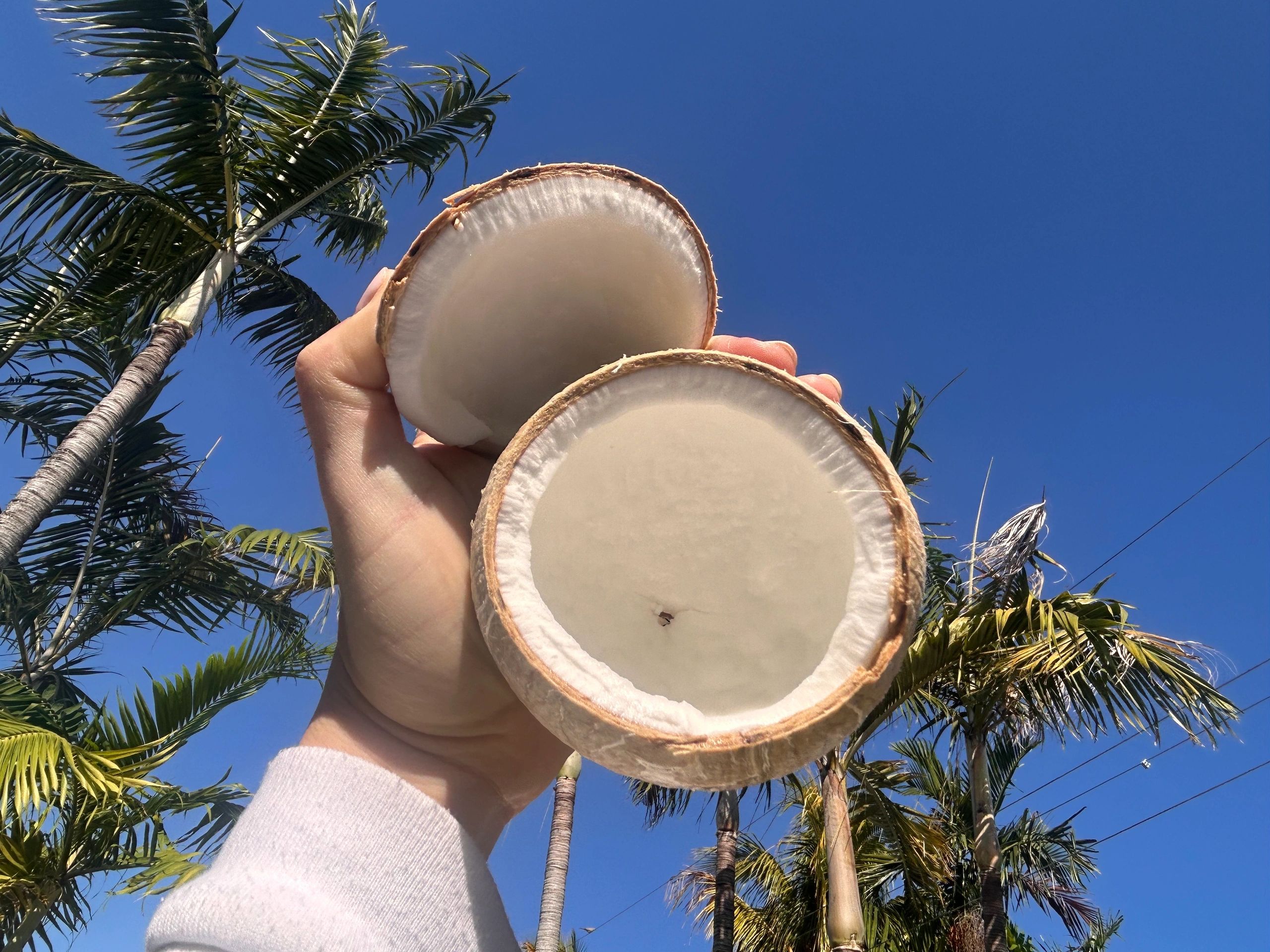 BRANDEDCOCONUT