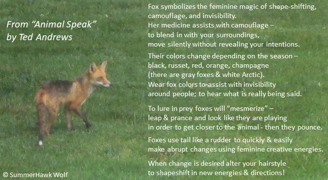 Fox symbolizes the feminine magic of shape-shifting