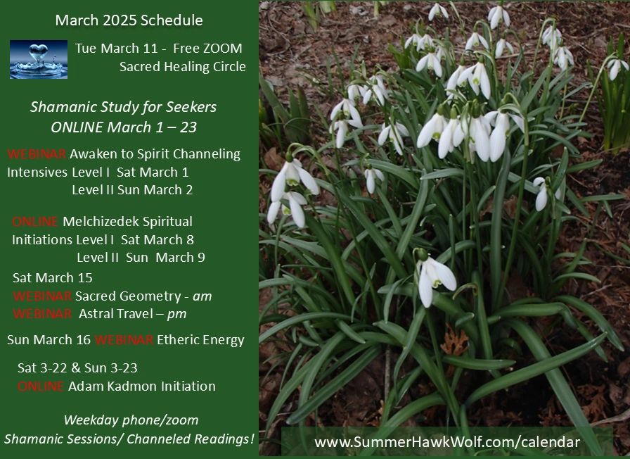 March begins with WEBINARS, zoom free meditation