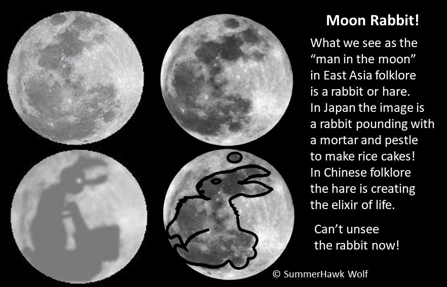 The rabbit in the moon!