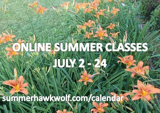 Summer Online classes begin July 2!