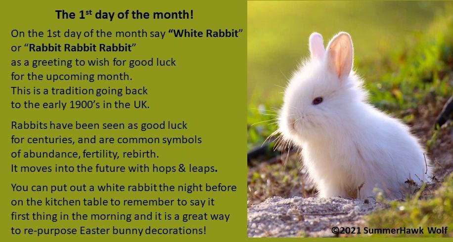 WHITE RABBIT!