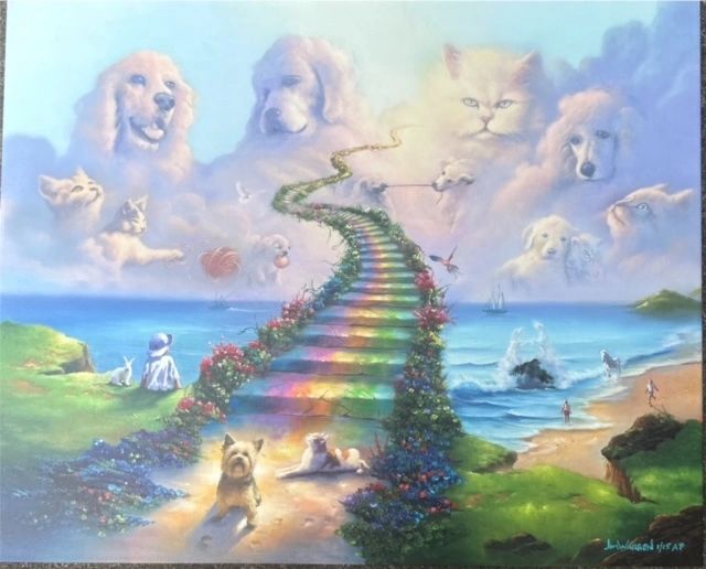 In-Home Euthanasia Services | The Rainbow Connection