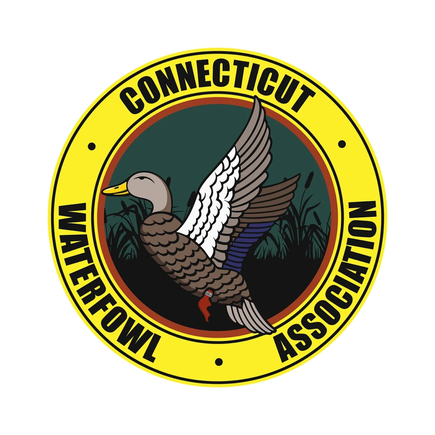 Connecticut Waterfowl Association