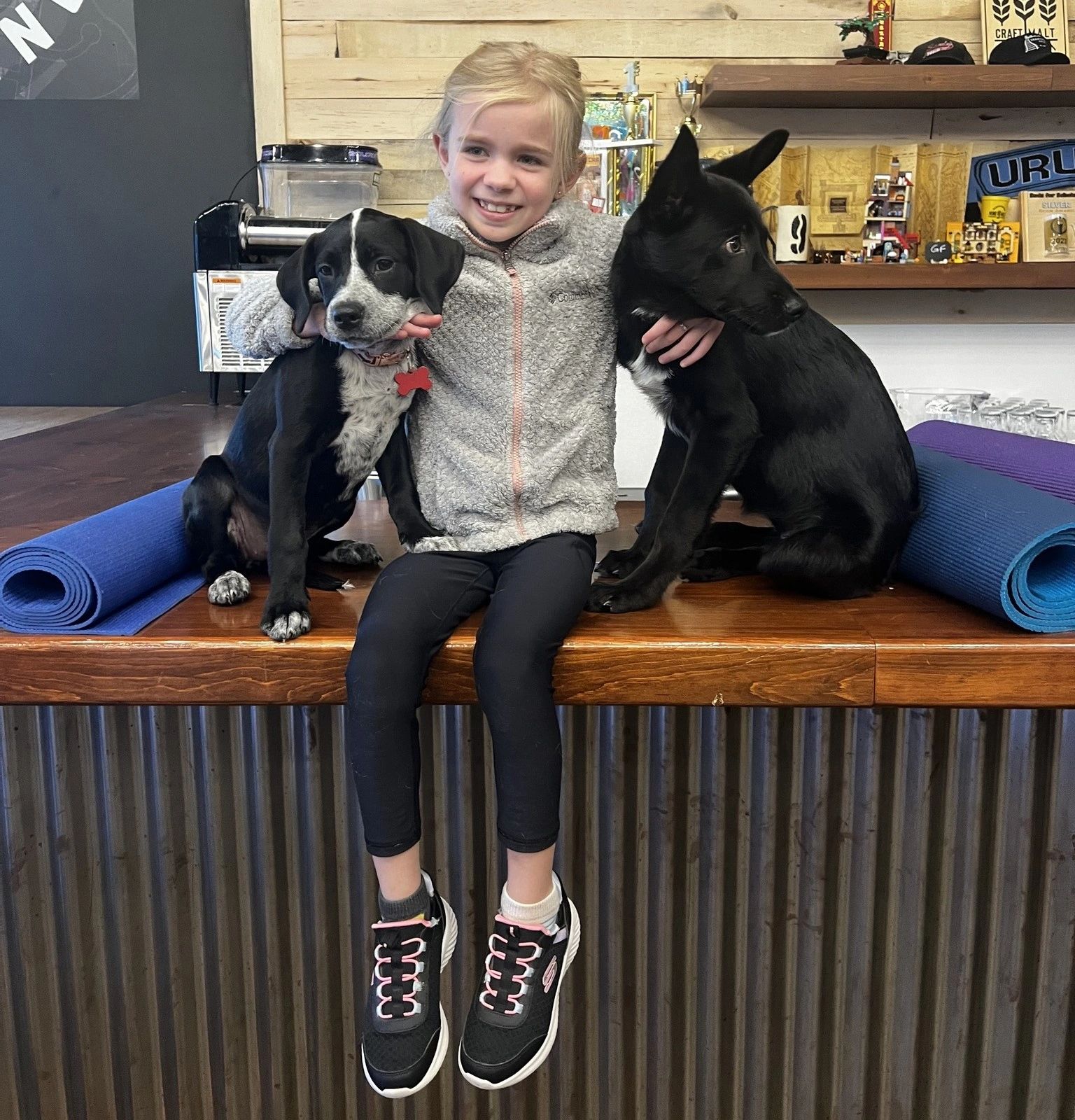 Namaste and Play Dog Yoga