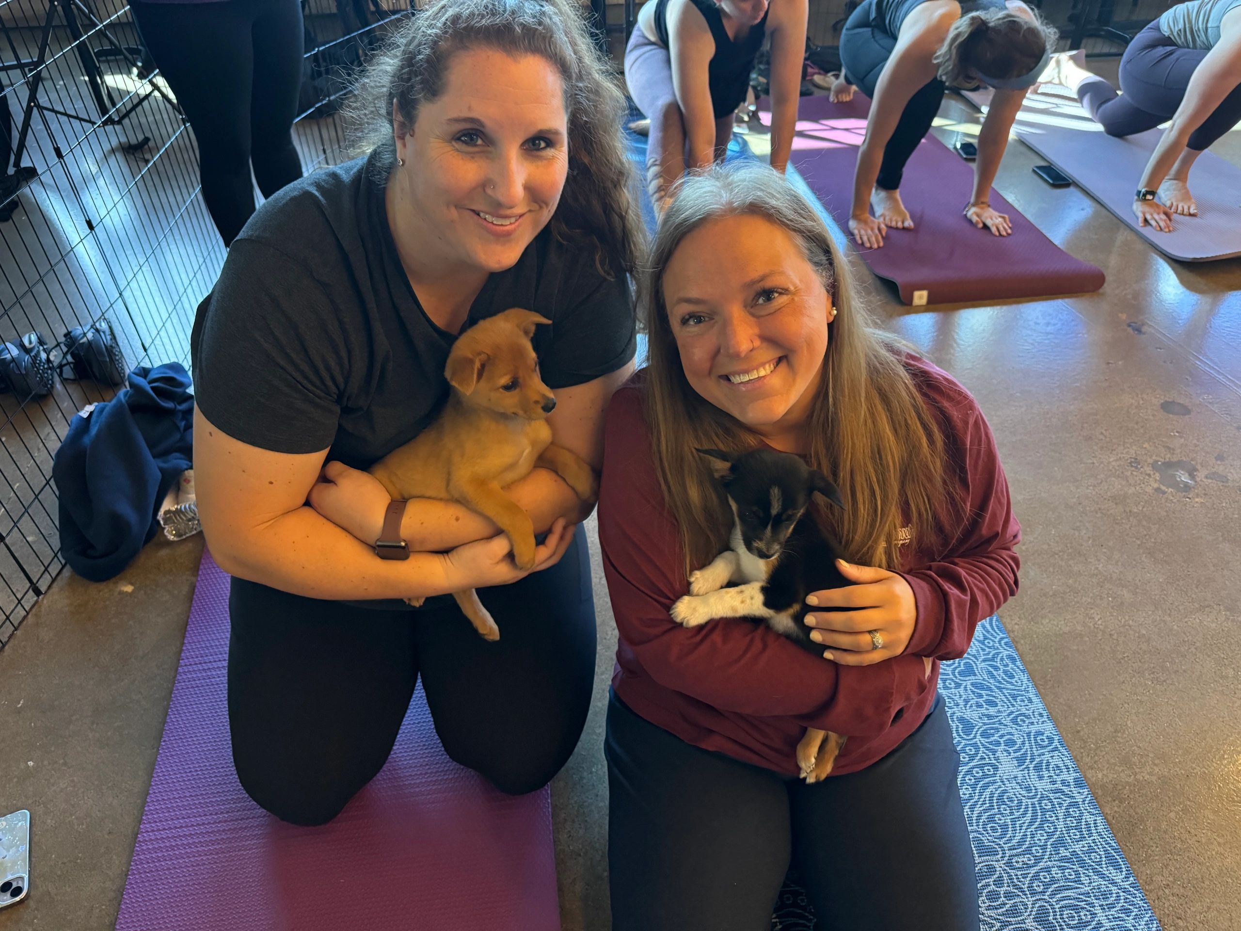 Namaste and Play Dog Yoga