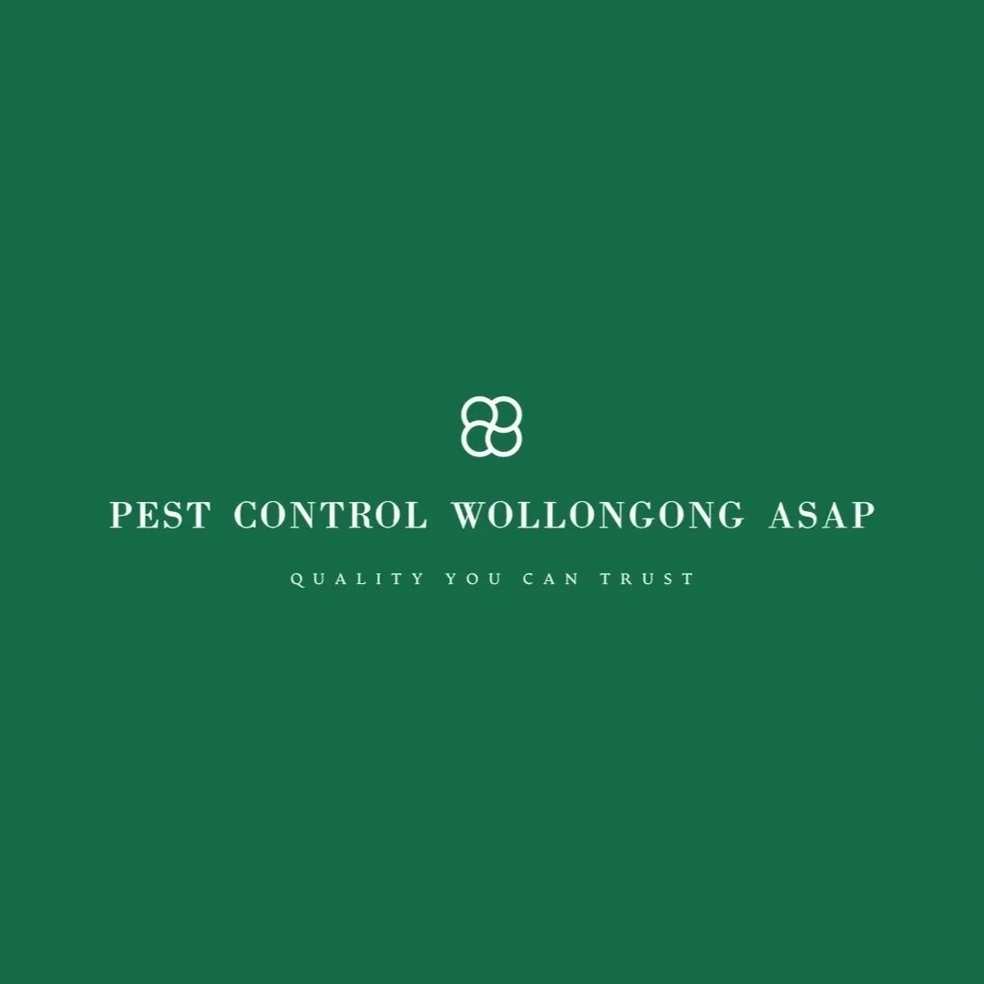 Pest Control Wollongong Asap