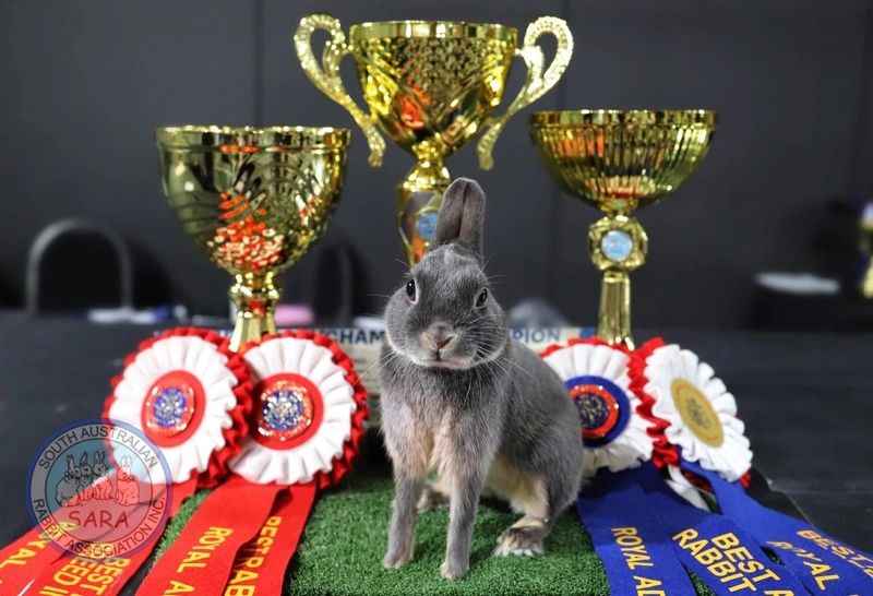South Australian Rabbit Association Inc