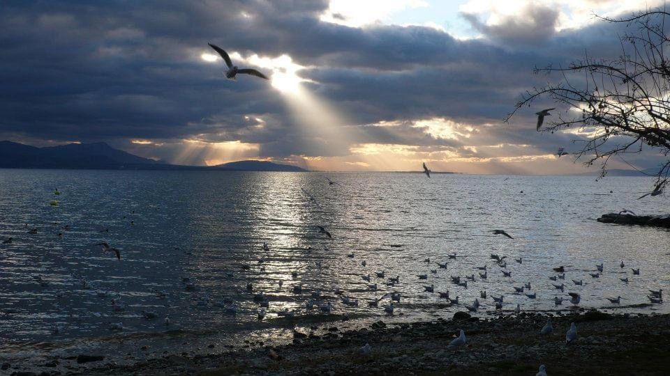 Heather Moon Vogels Therapy, Healing, Connection