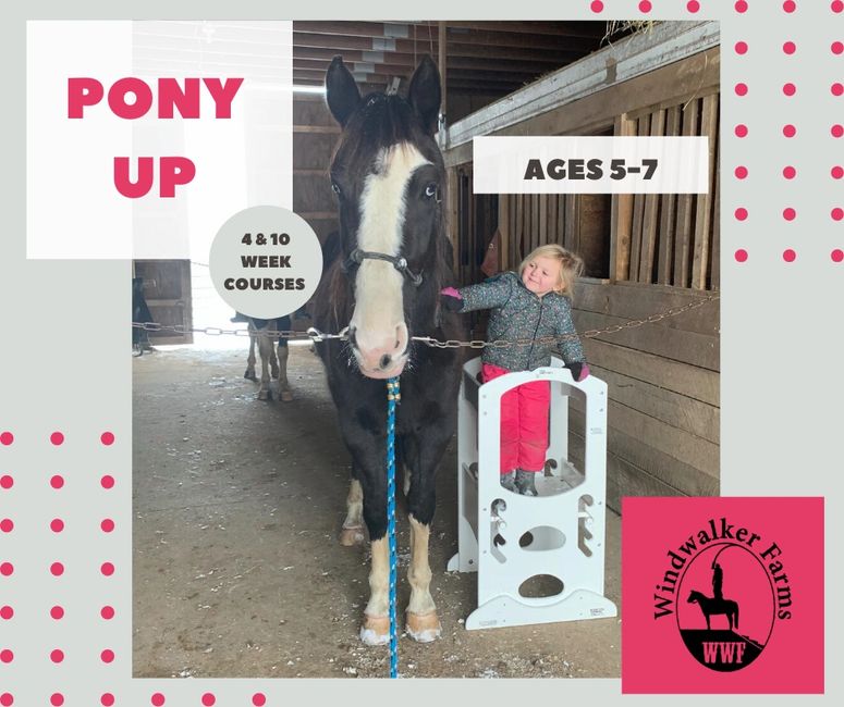 Our Lesson Program | Windwalker Farms