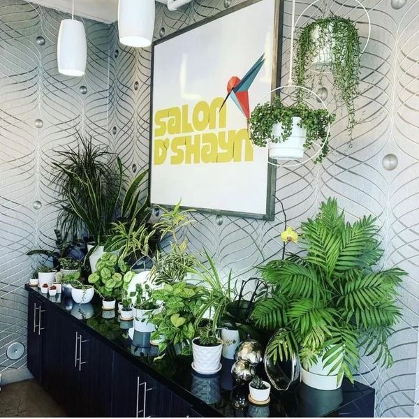 Home [salondshayn.com]