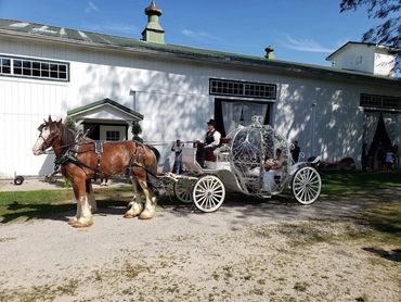 Customize your event for that special memory you want.