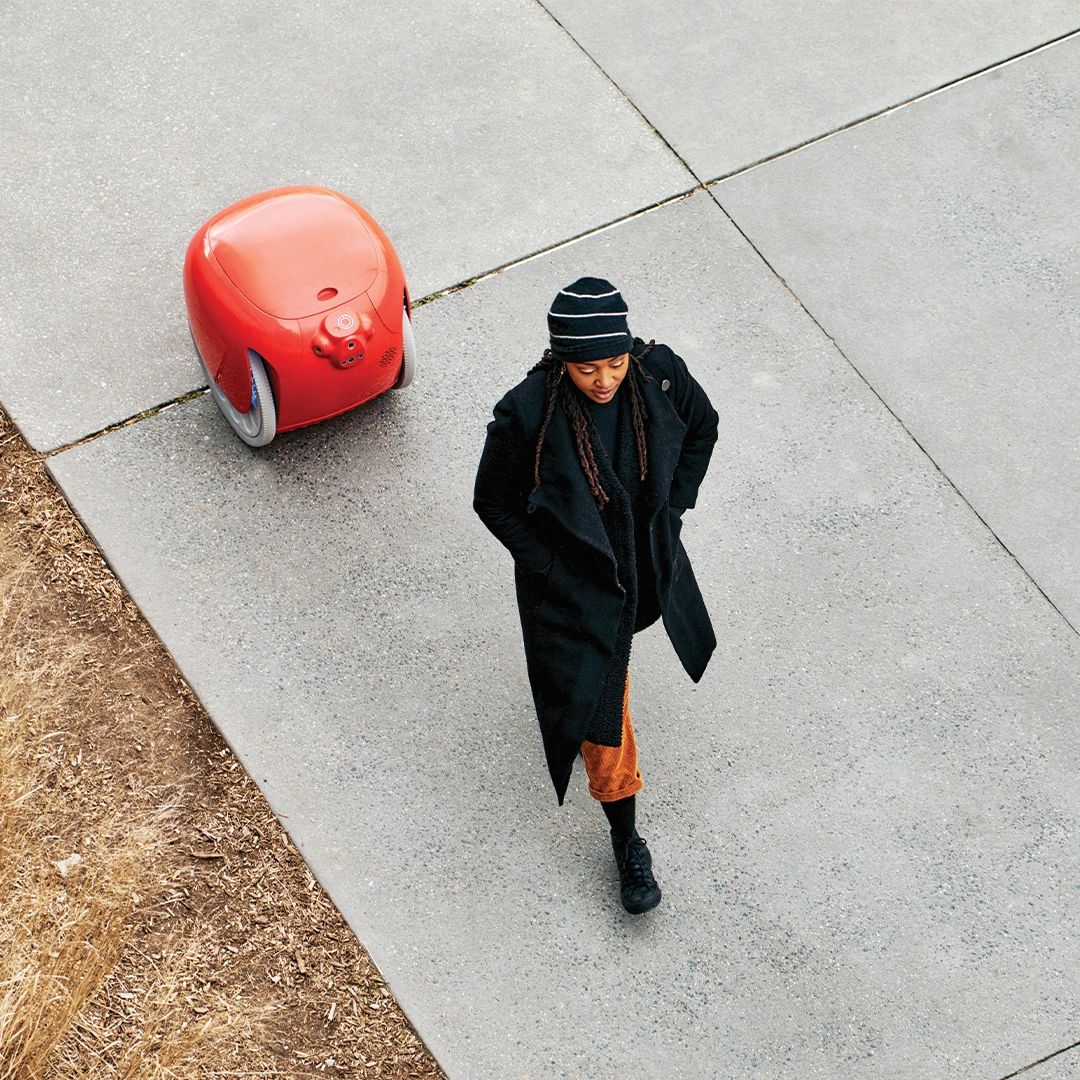 Meet Gita, The Ultimate Sidekick Robot!