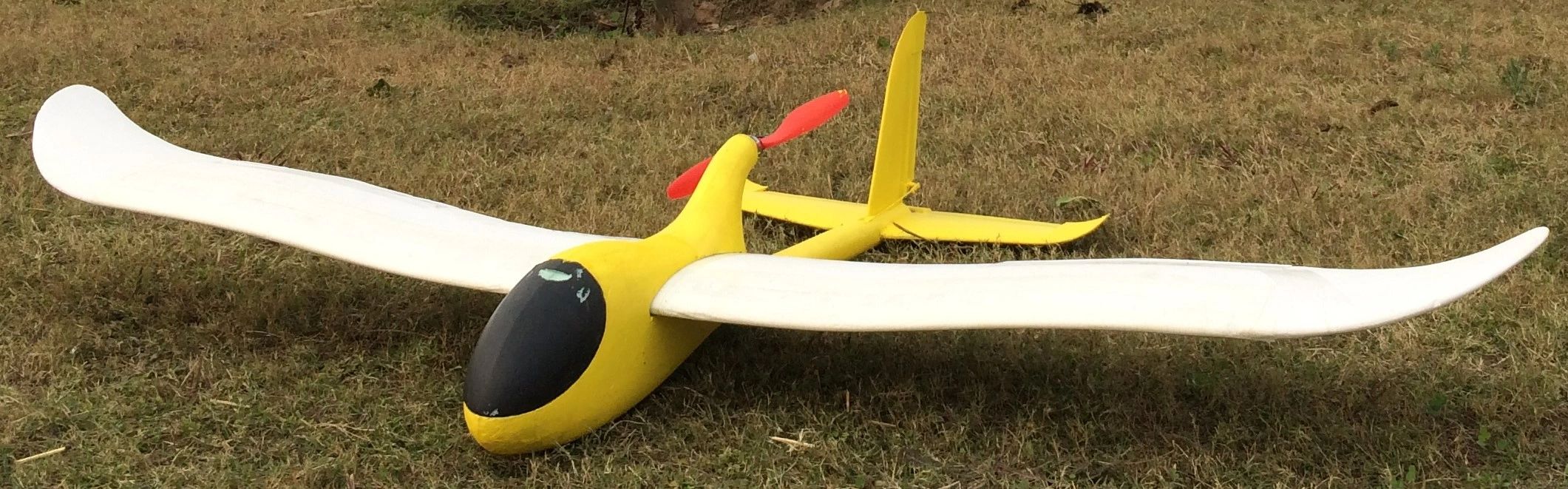 Skytex UAV Skygull Drone - India Commercial Drone Guide