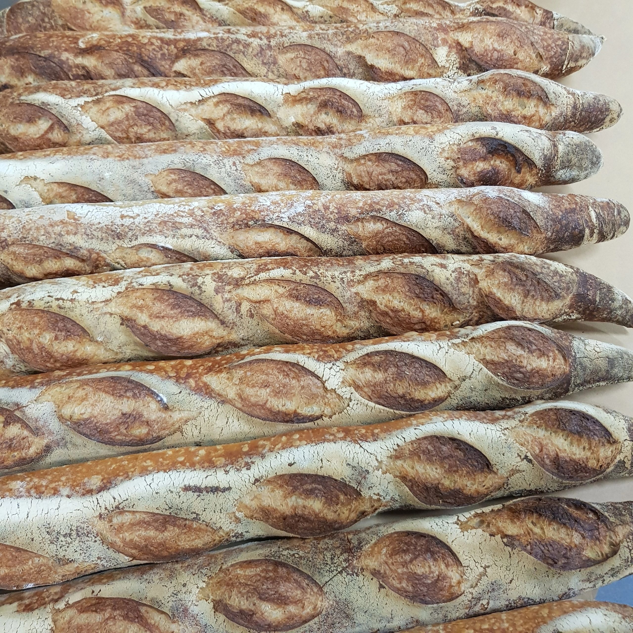 Product Photos | Artisan Bread Craft