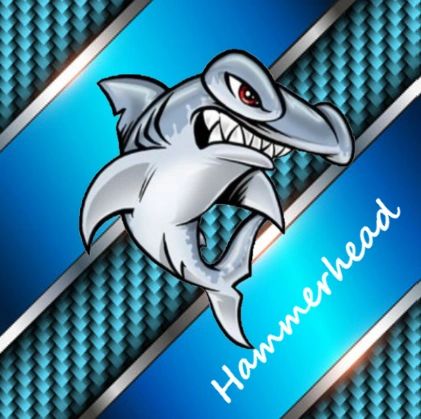 ACL 2025 Comp Stamp Hammerhead