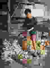 Eagle Eye Charities Inc. - Art Gallery, Contemporary Art, Realism