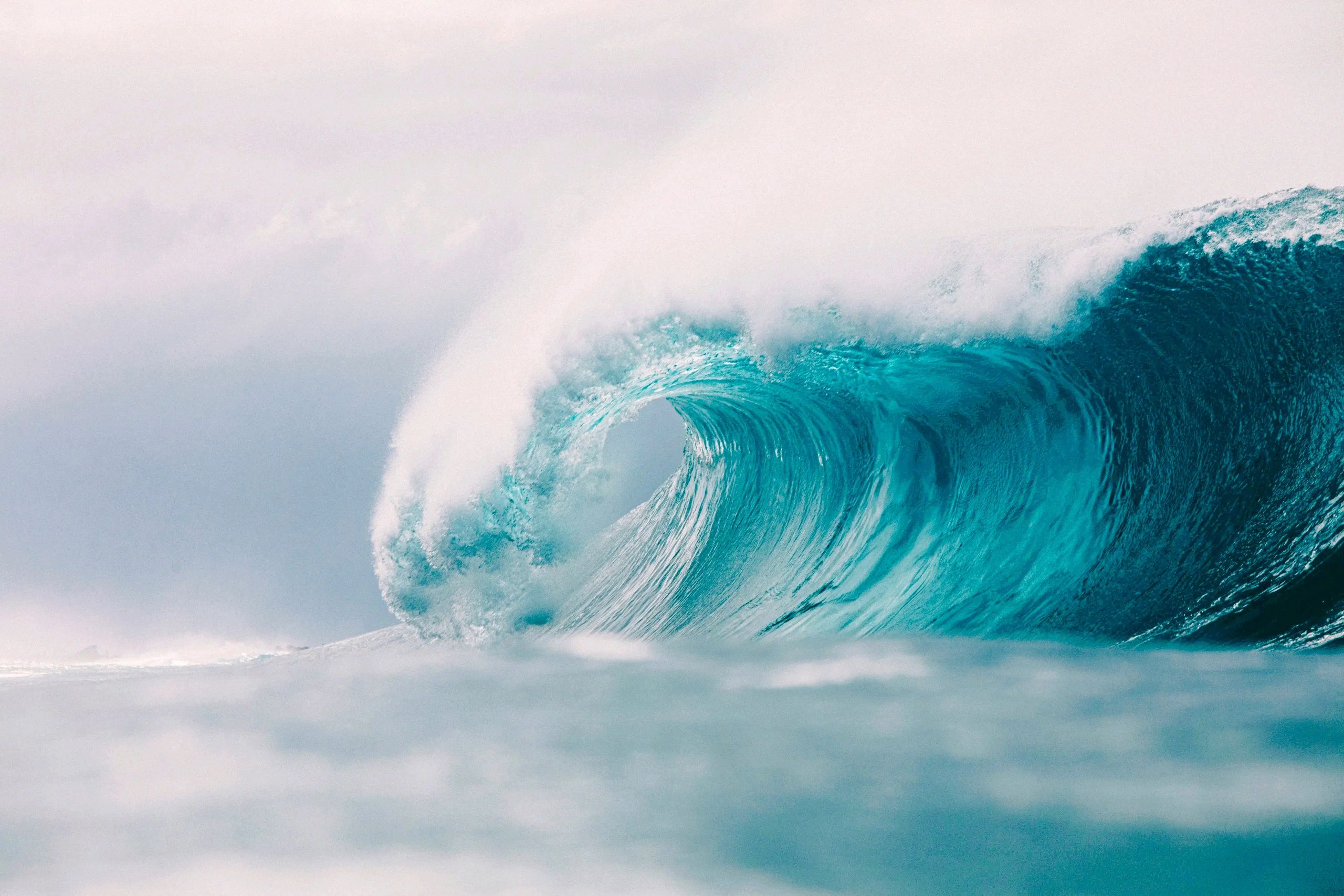 Executive Coaching - Melissa Schneider