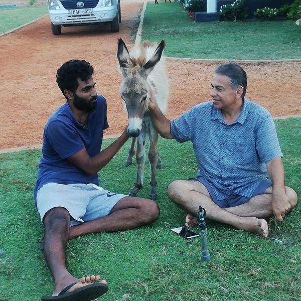 Donkey Clinic and Education Center