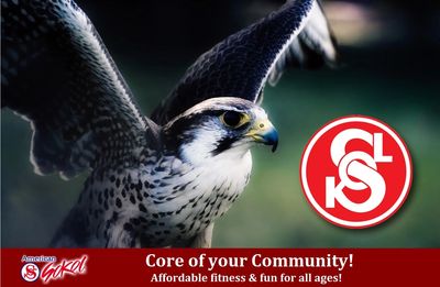 Contacts & Links | Sokol KHB Ennis