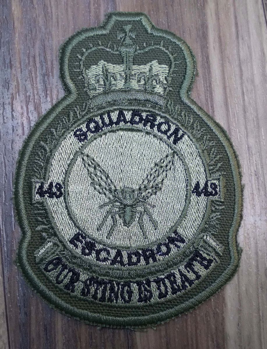 VINTAGE ROYAL CANADIAN AIR FORCE SQUADRON 443 PATCH – SUBDUED, Item #7335