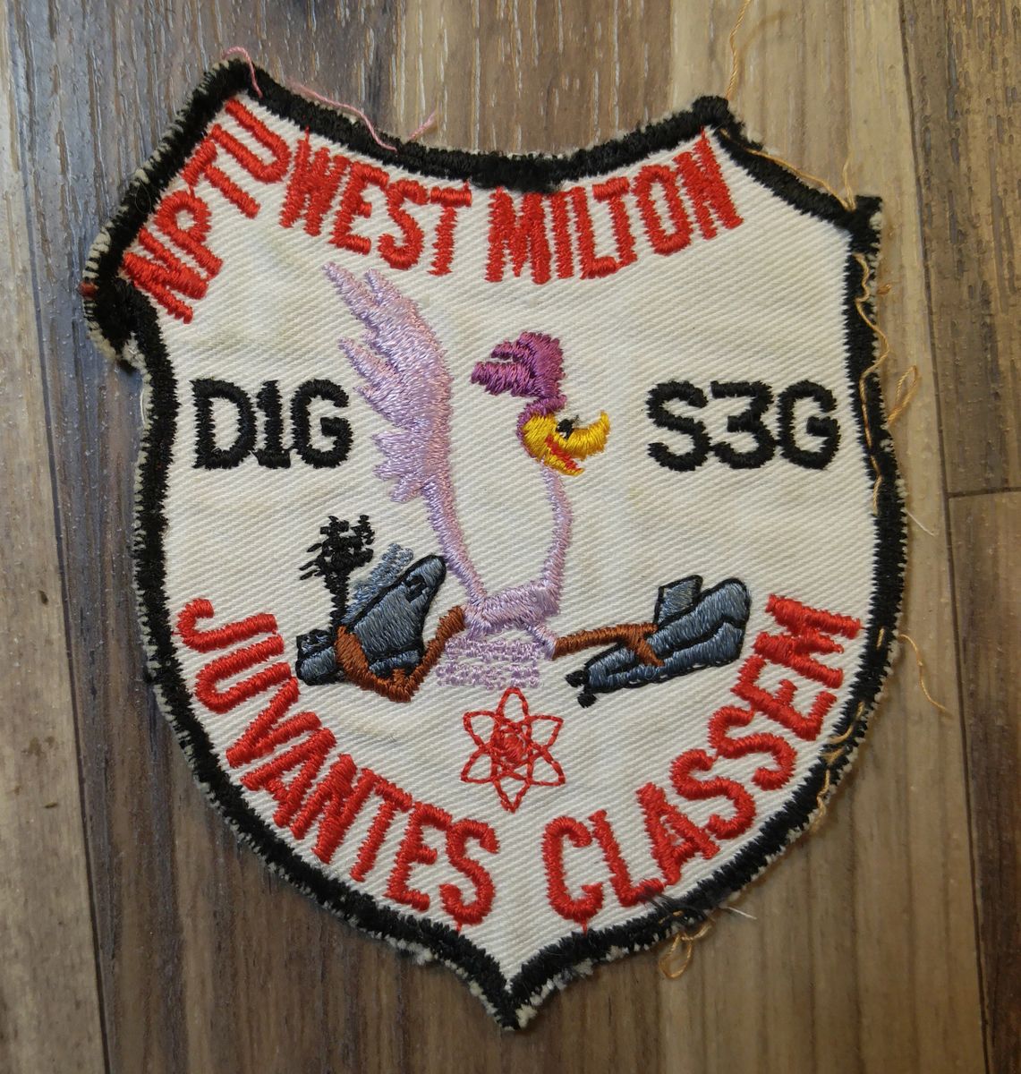 US NAVY NPTU WEST MILTON DIG S3G JUVANTES CLASSEM ROADRUNNER PATCH ...