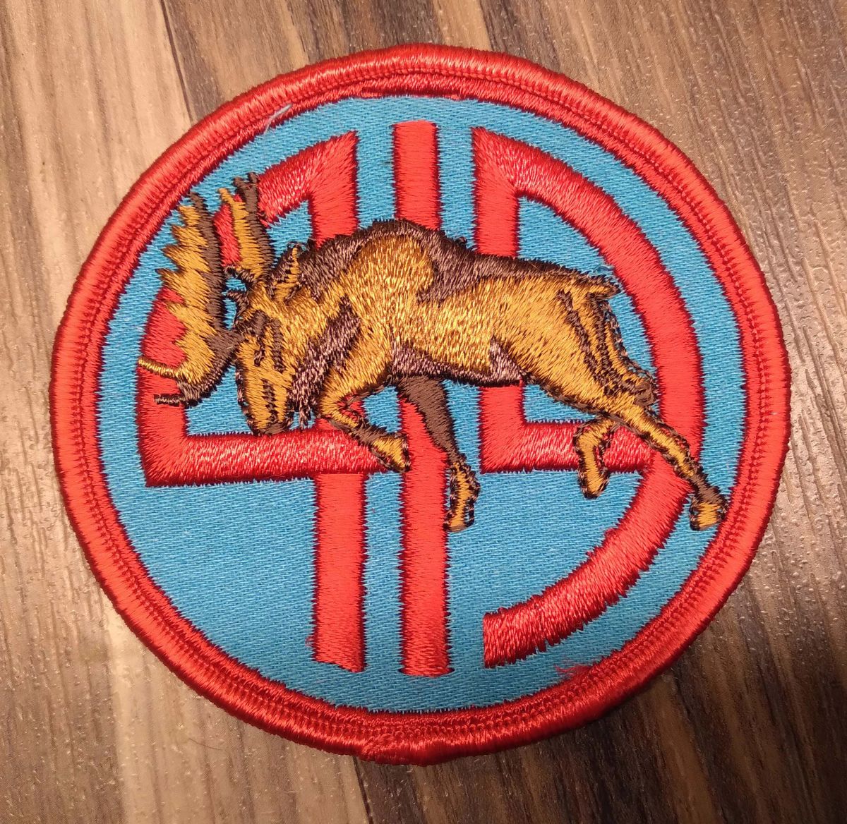 VINTAGE CANADIAN AIR FORCE 419 MOOSE SQUADRON PATCH RCAF, Item #6857