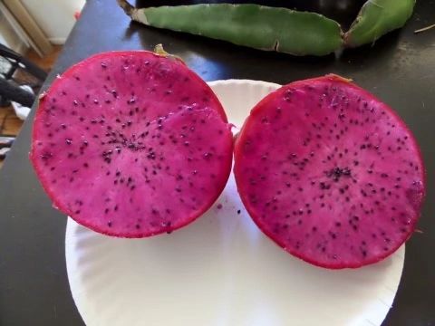 Dragon Fruit (Pitaya) Varieties