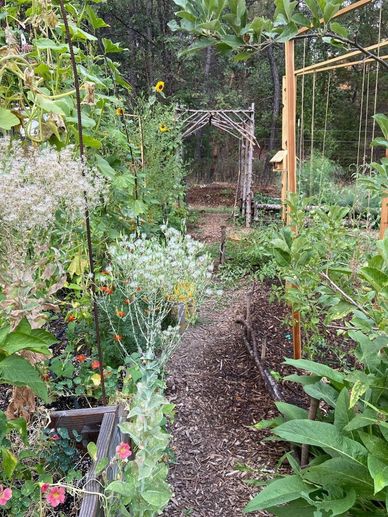 Fruitmommy Organic Solutions llc - Food Forest, Grow Backyard Food