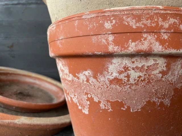 Addressing Salt Build Up