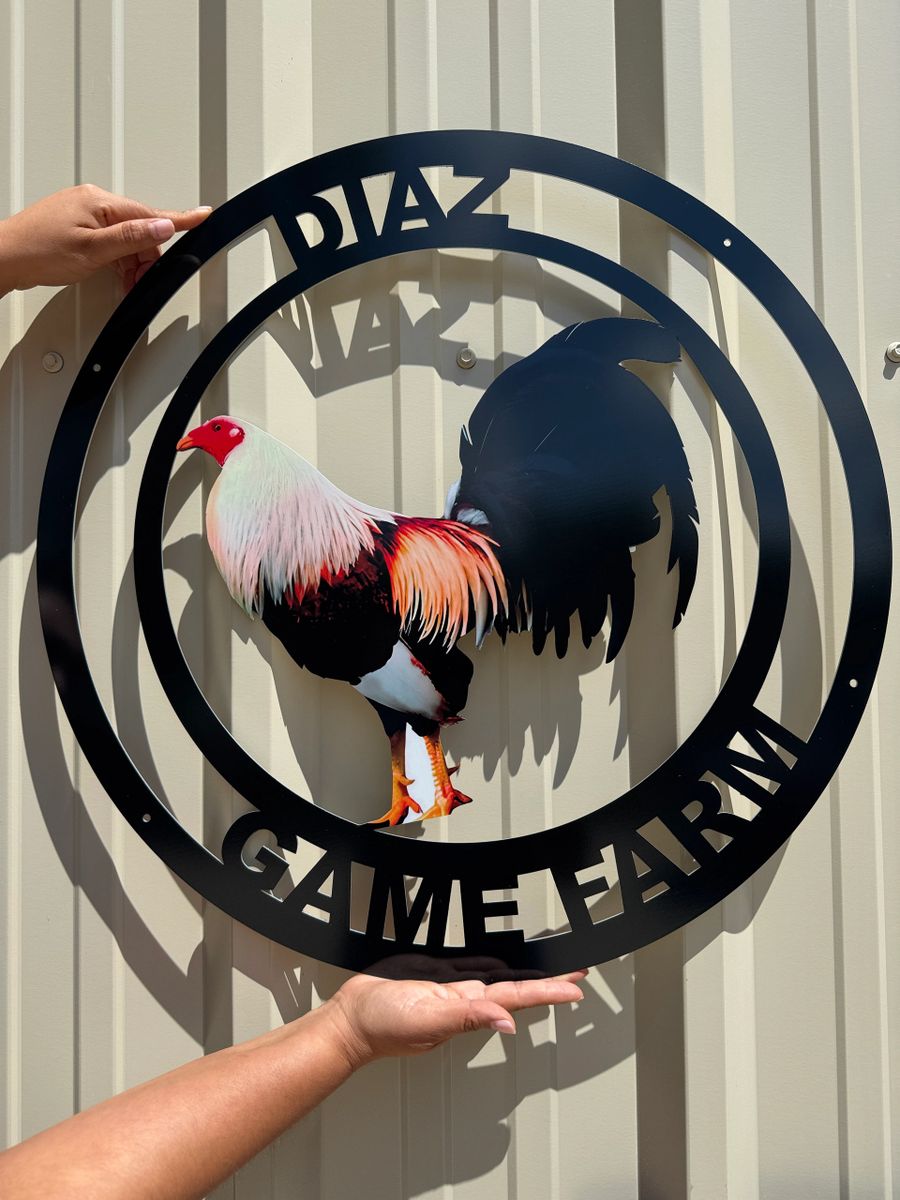 GREY ROOSTER, GALLO GIRO