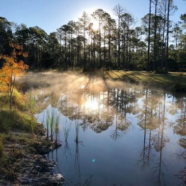 Point Washington Preserve - Wedding Venue - SANTA RSA BCH, Florida